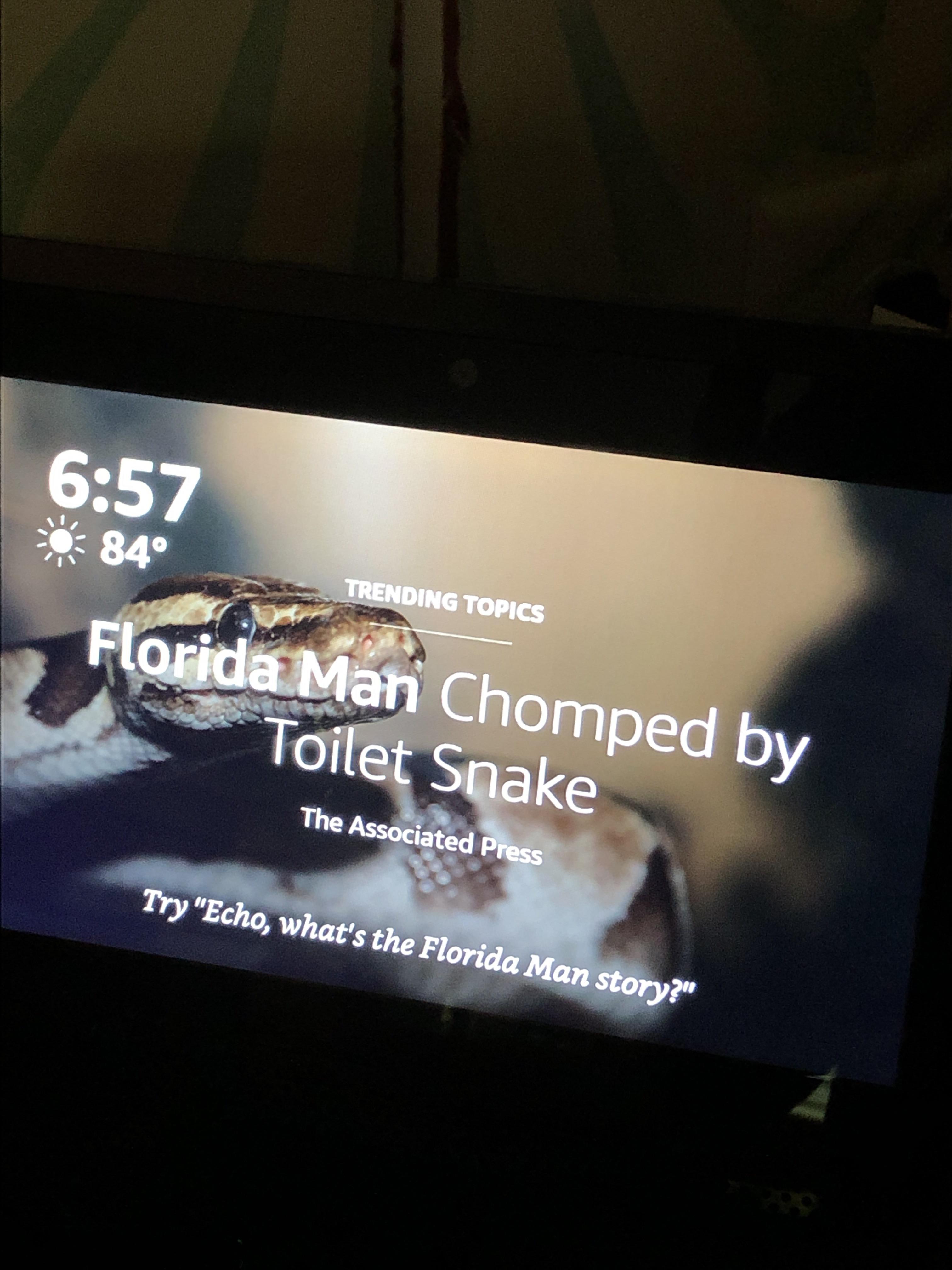 The notorious Florida man returns | Scrolller