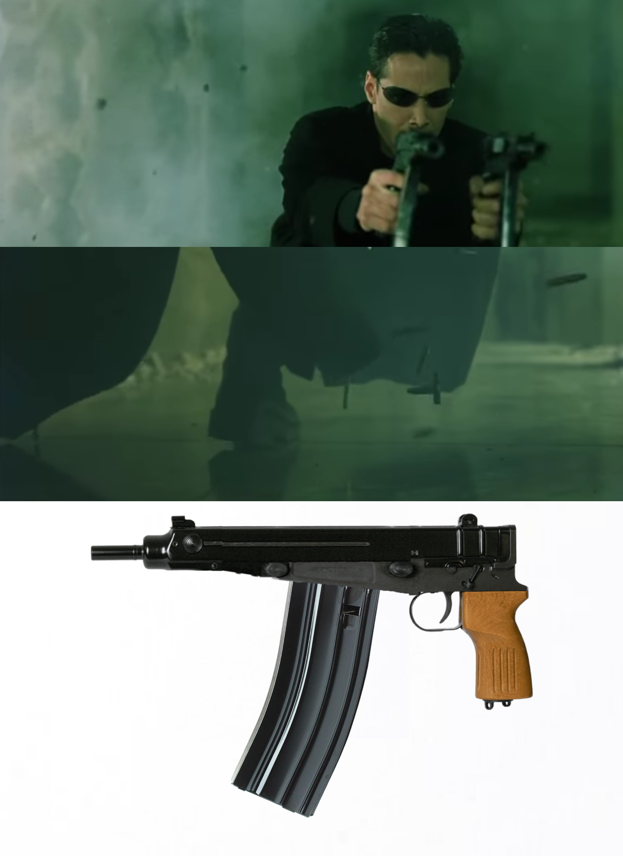 The only logical conclusion | Scrolller