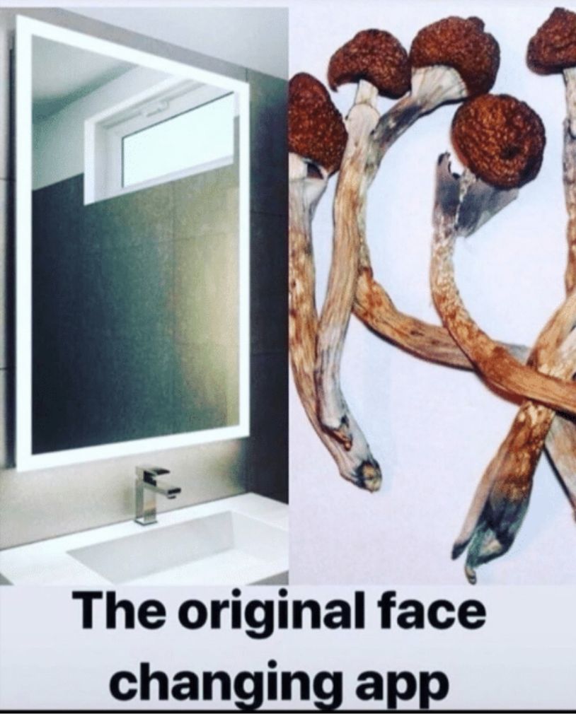 The Original Face Changing App | Scrolller