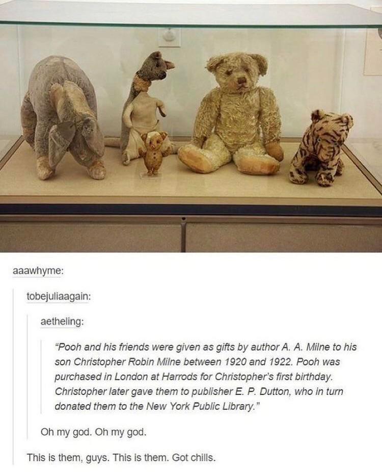 the origins of Pooh bear :) | Scrolller