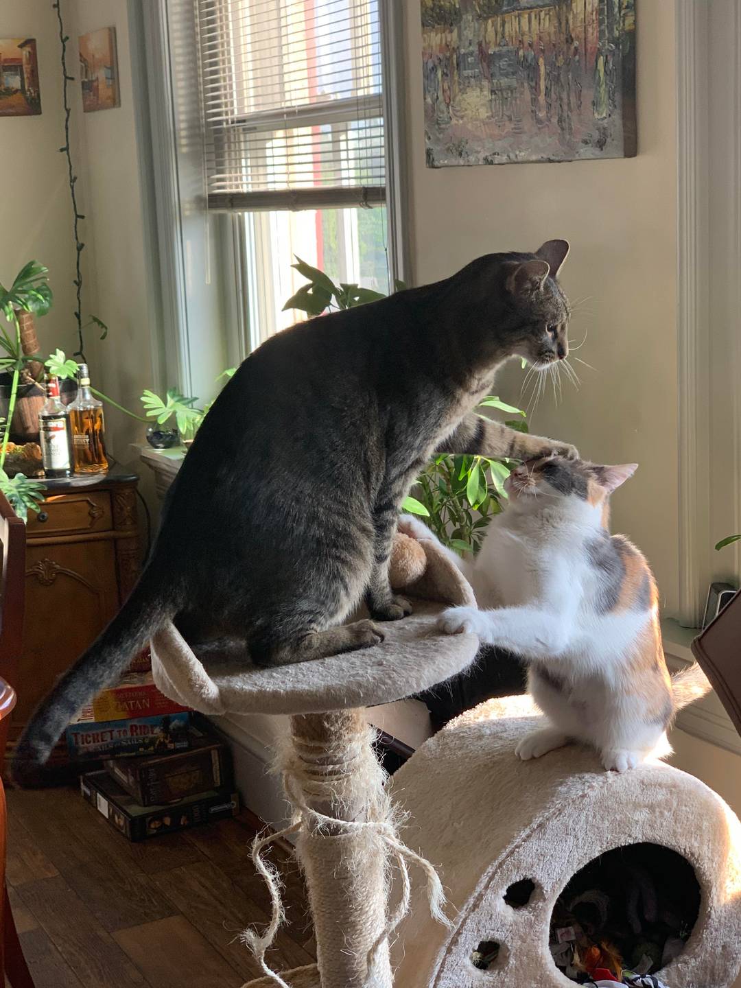 The patient Slap from the king of the perch | Scrolller