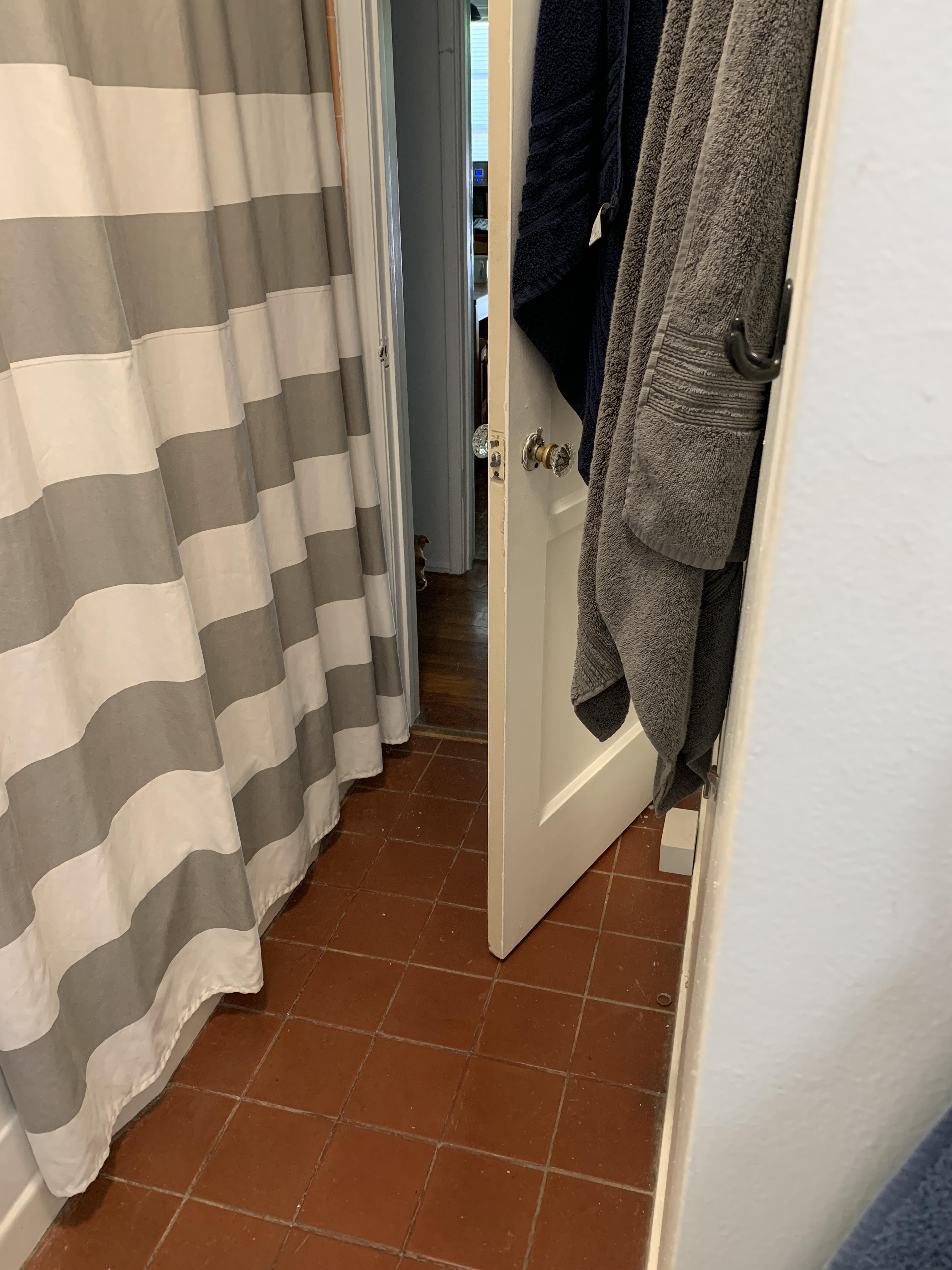 The peep | Scrolller