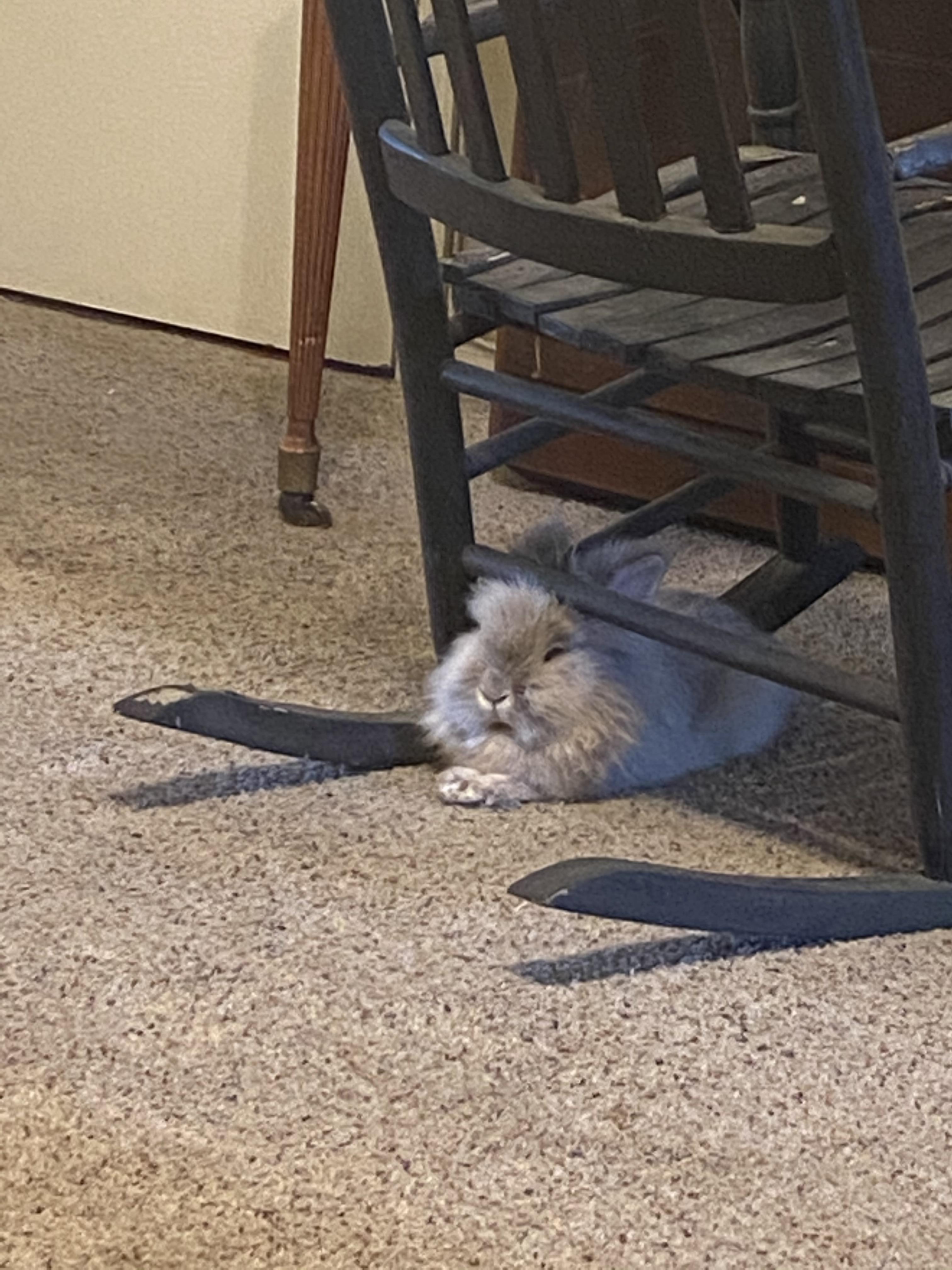 The perfect headrest | Scrolller