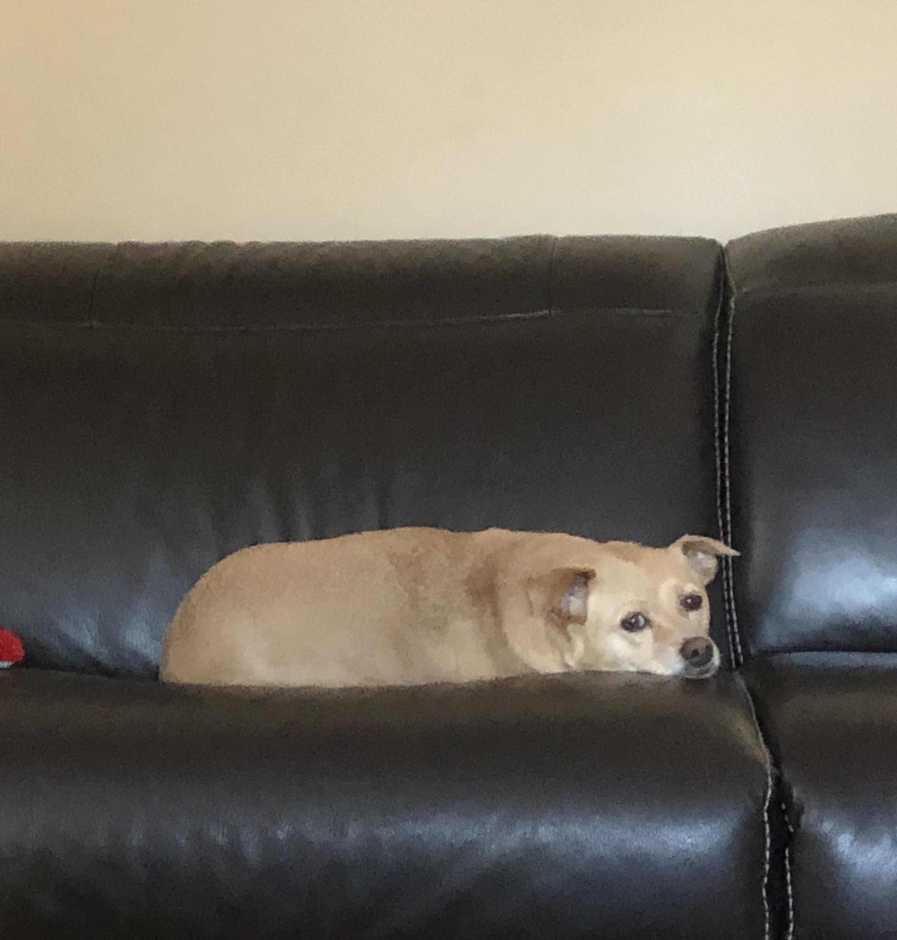 The perfect loaf | Scrolller