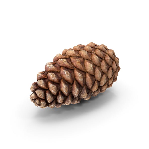 The Perfect pine cone | Scrolller