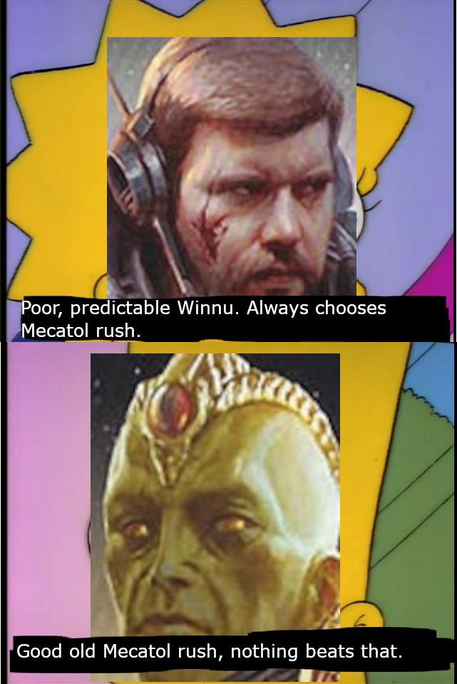 The perfect strategy | Scrolller