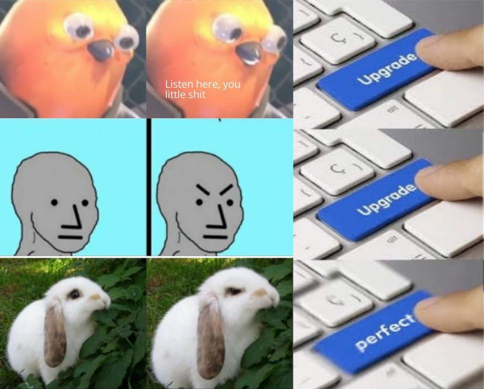 The perfect template | Scrolller