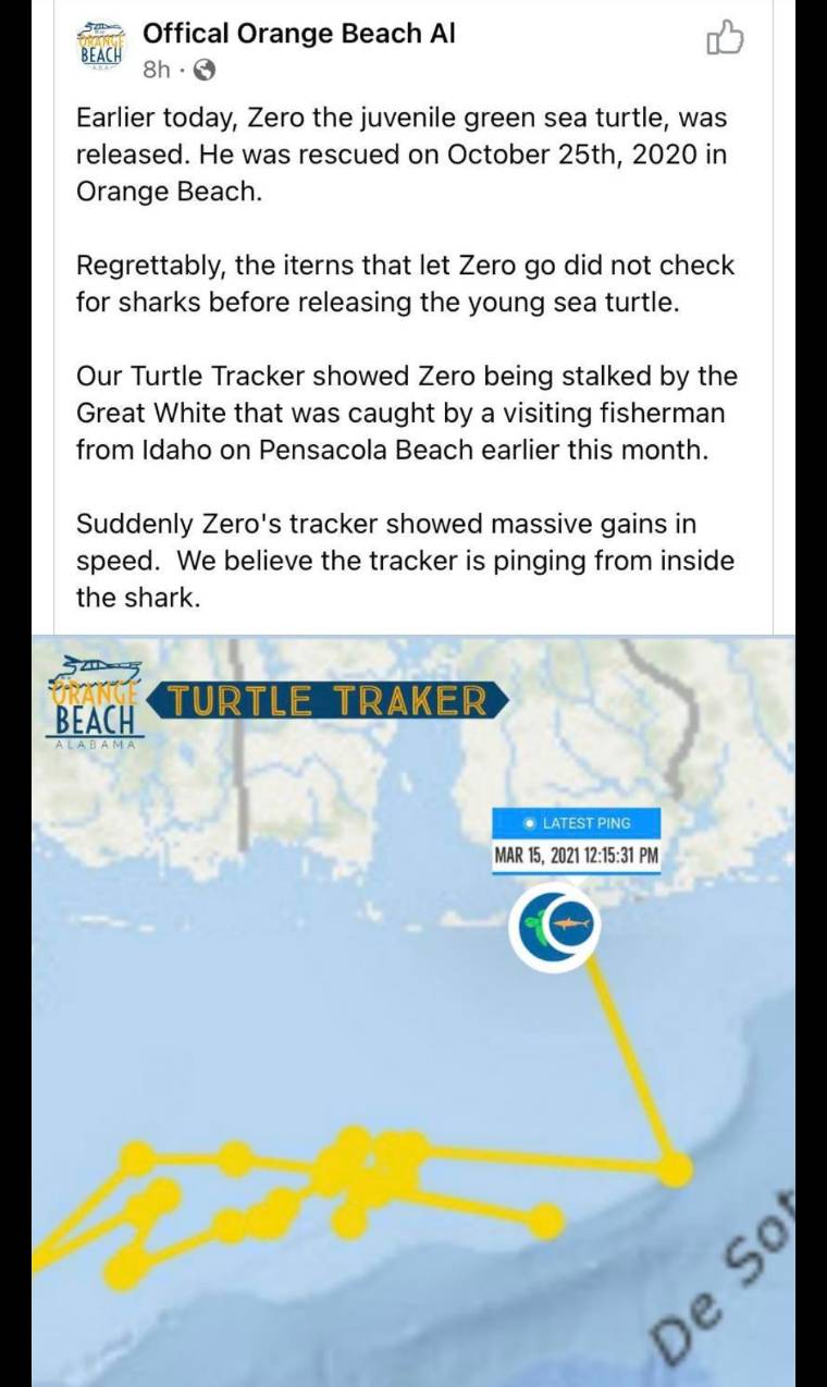 The pic explains it all | Scrolller