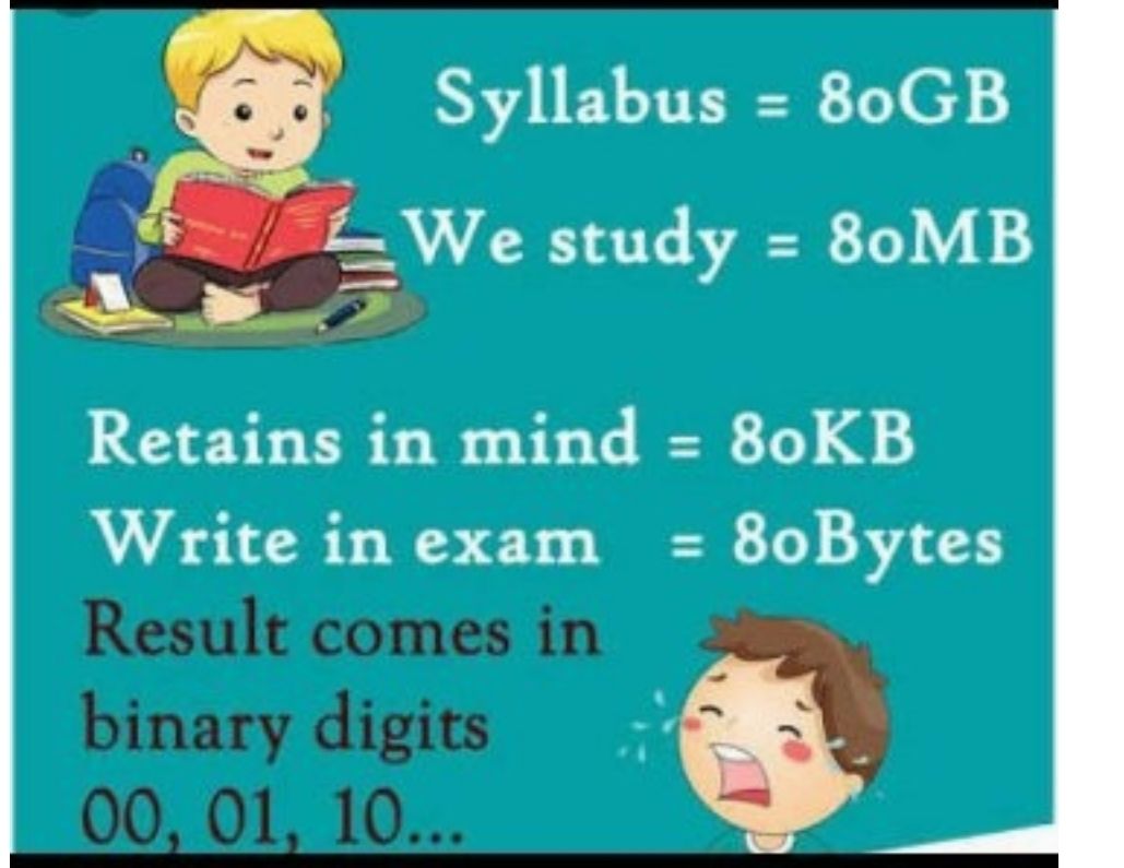 The pyramid of knowledge | Scrolller