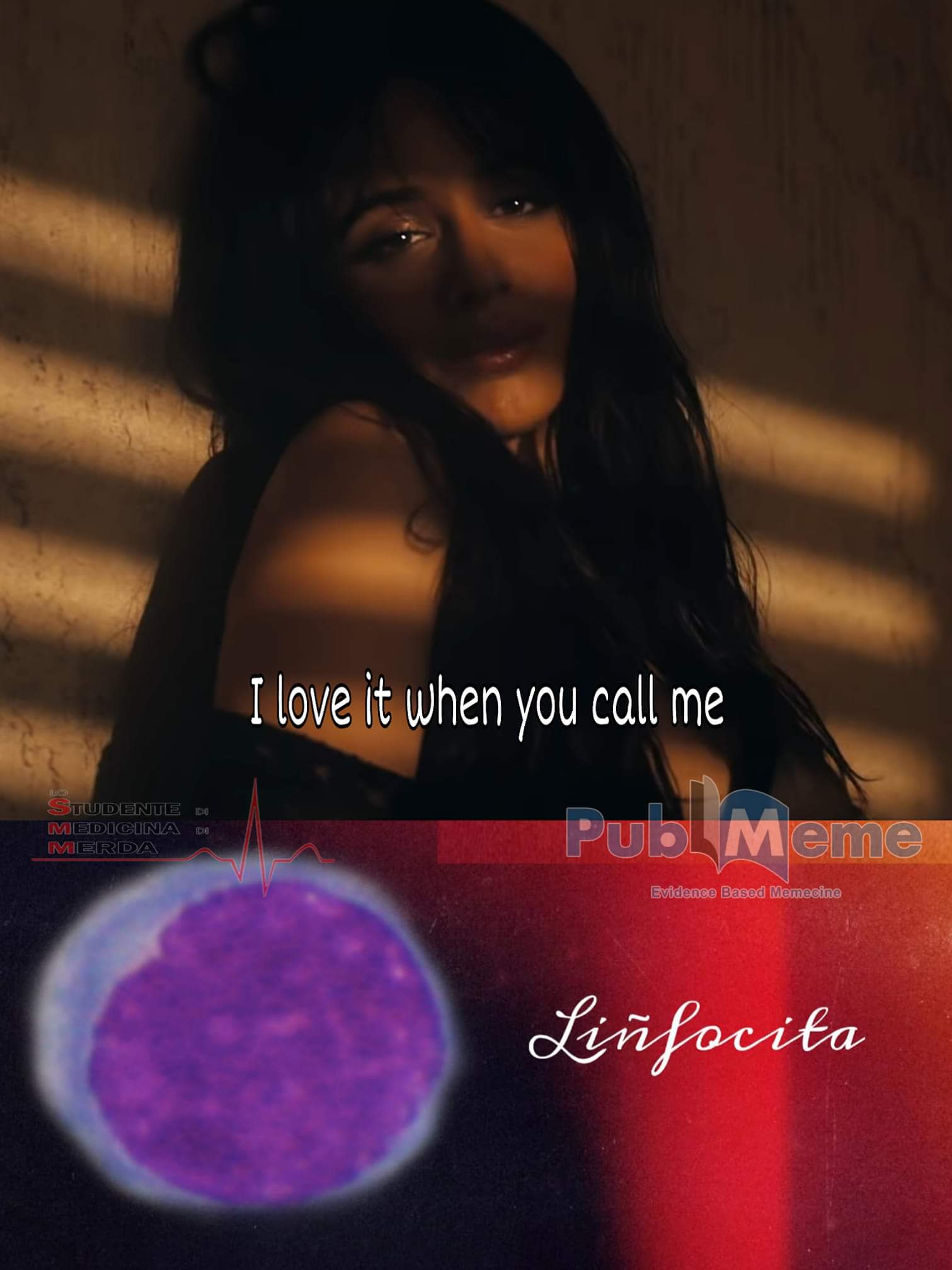 The real past summer hit | Scrolller