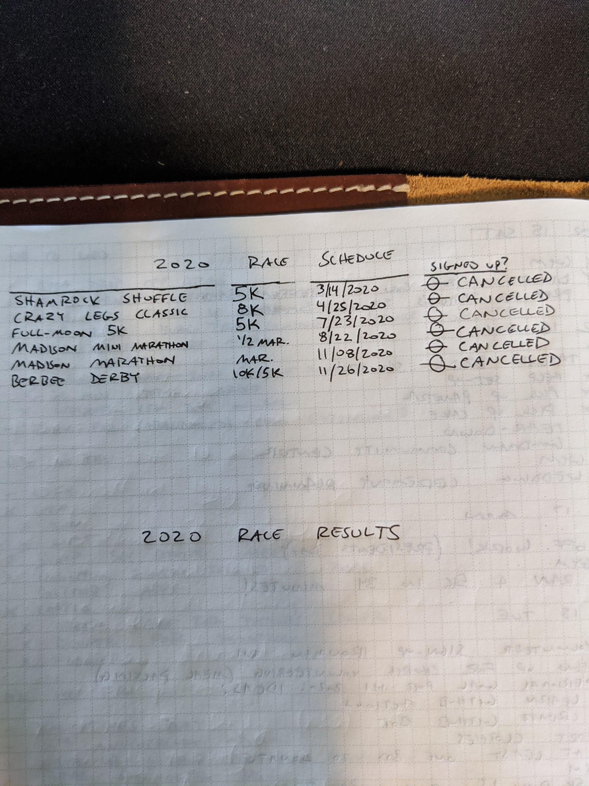 The Saddest Page In My 2020 BUJO | Scrolller