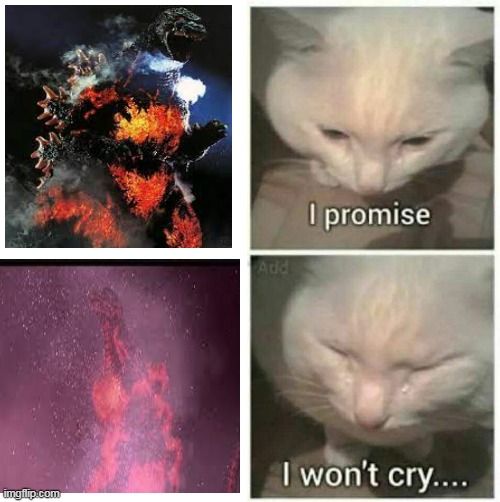 The scene where we all cry | Scrolller