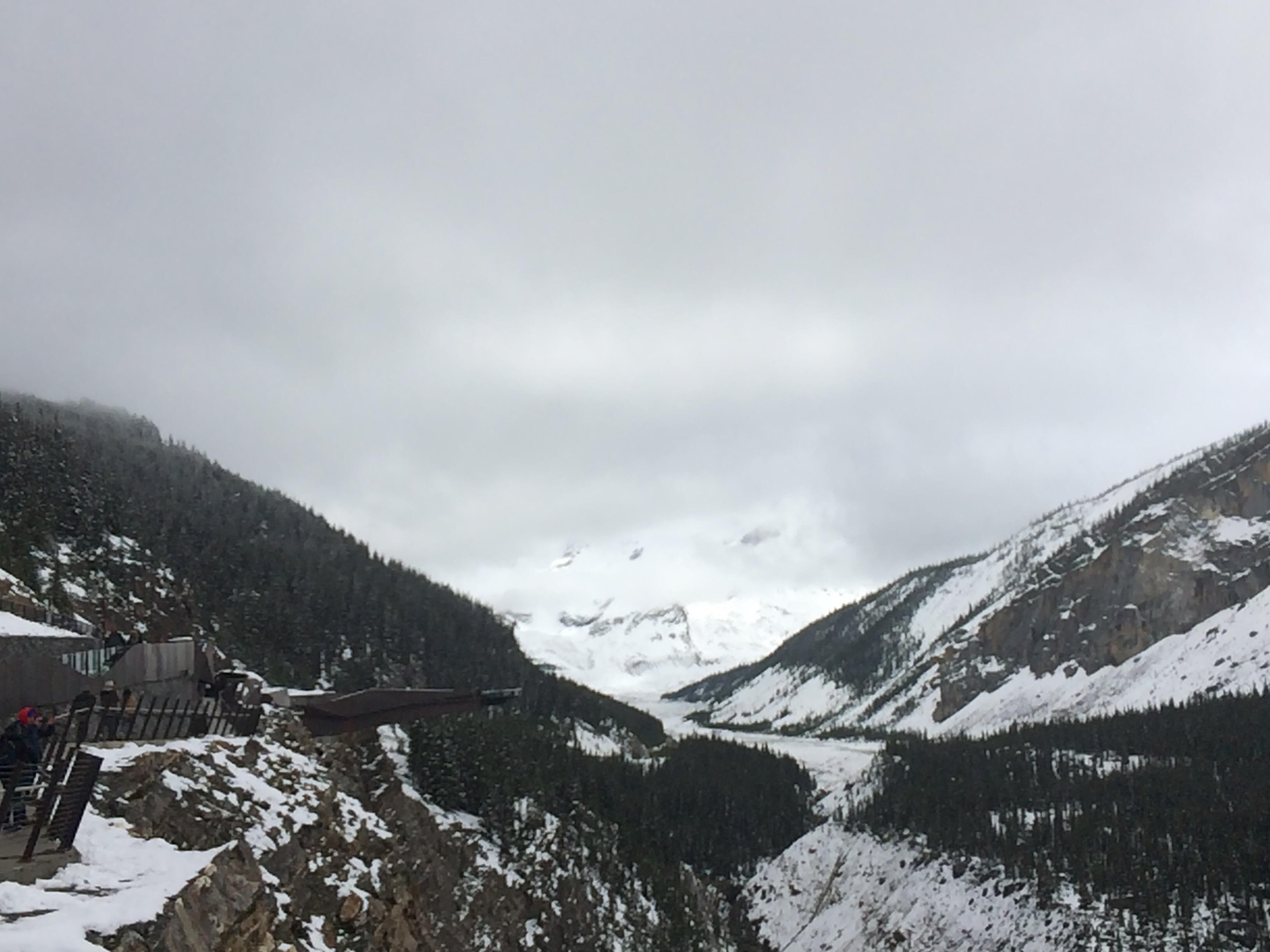 The search continues! | Scrolller