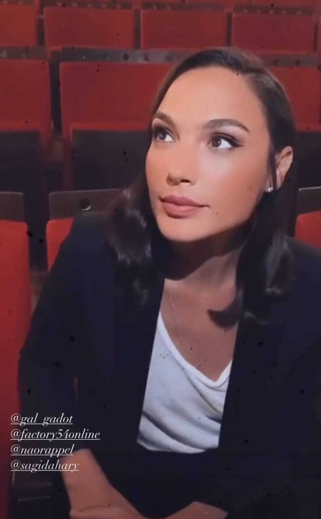 The Show Me Your Cock Look Gal Gadot Scrolller