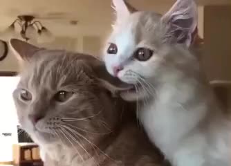 The side eye... | Scrolller