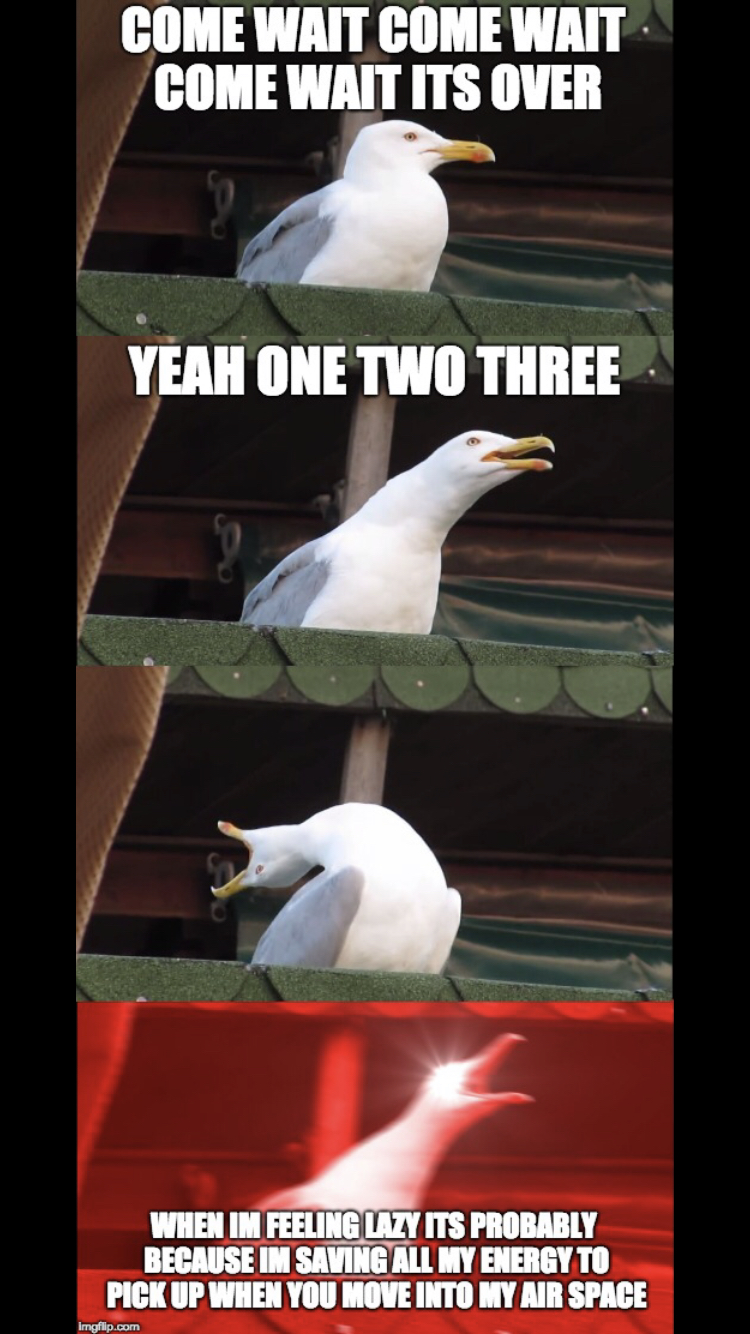 the silent parts...the parts that birds love | Scrolller