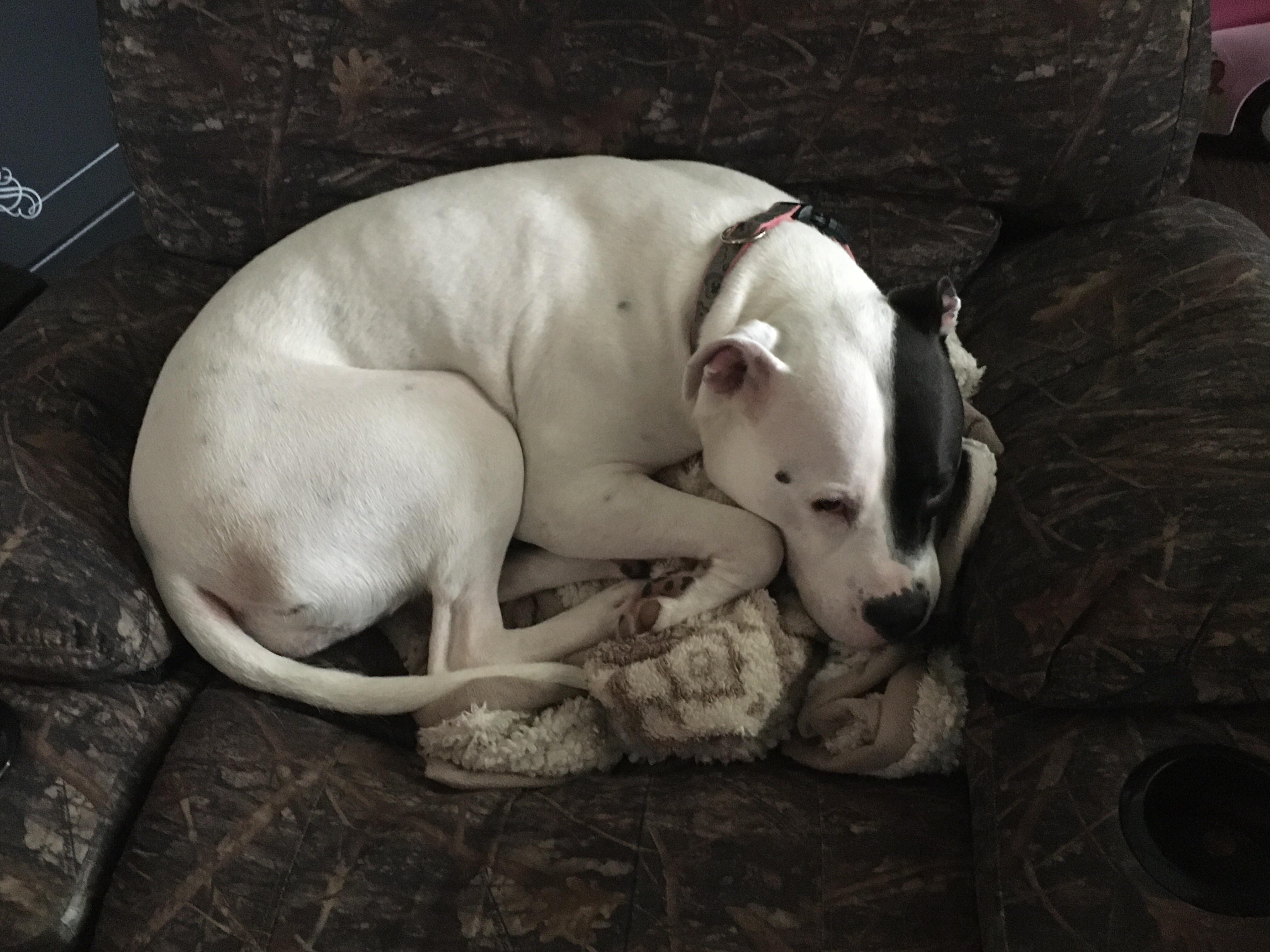 Sleeping giant Mya | Scrolller