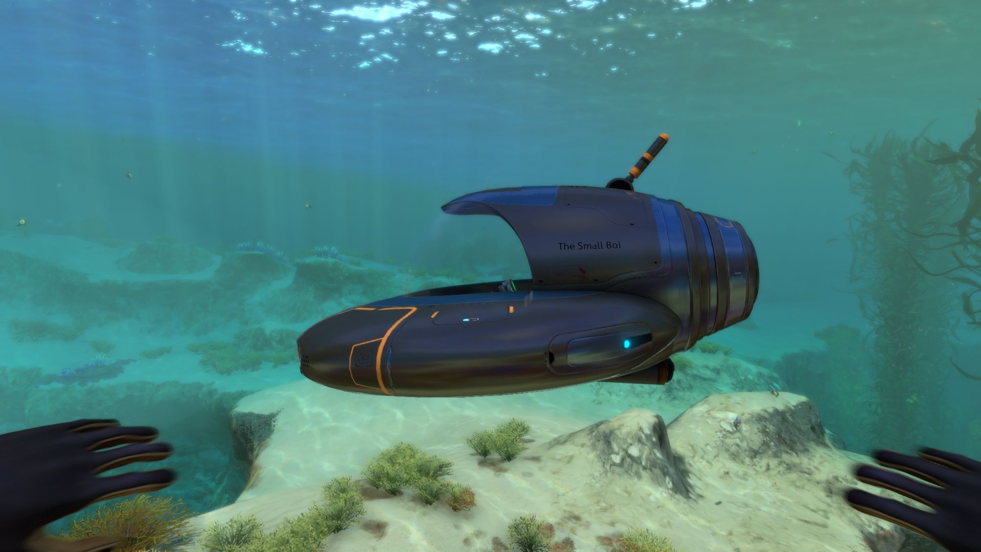 The Small Boi | Scrolller