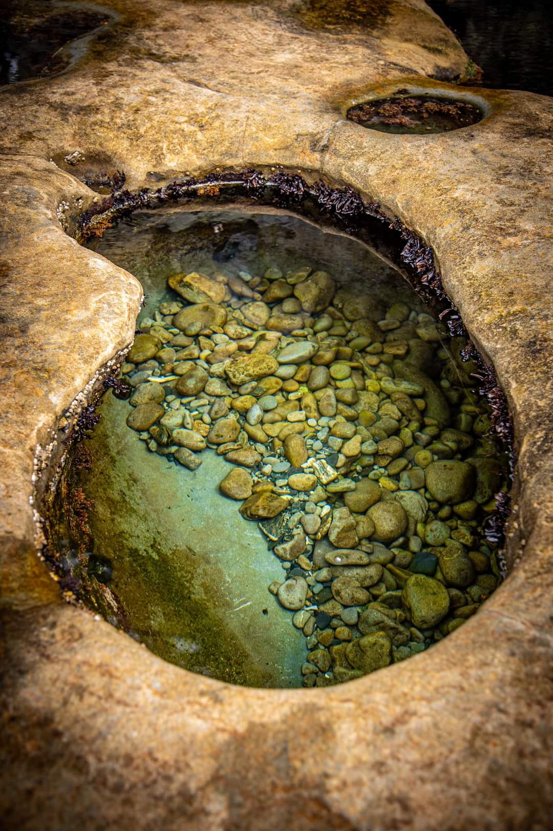 The Sooke Potholes on Vancouver Island | Scrolller