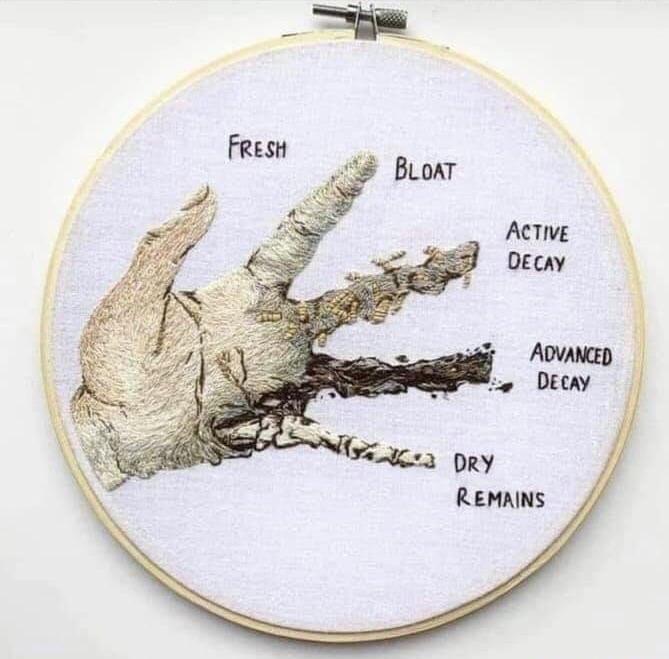 The stages of decay | Scrolller