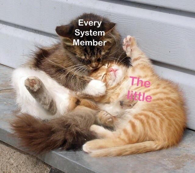 The strong must protect the sweet | Scrolller The strong must protect the sweet | Scrolller