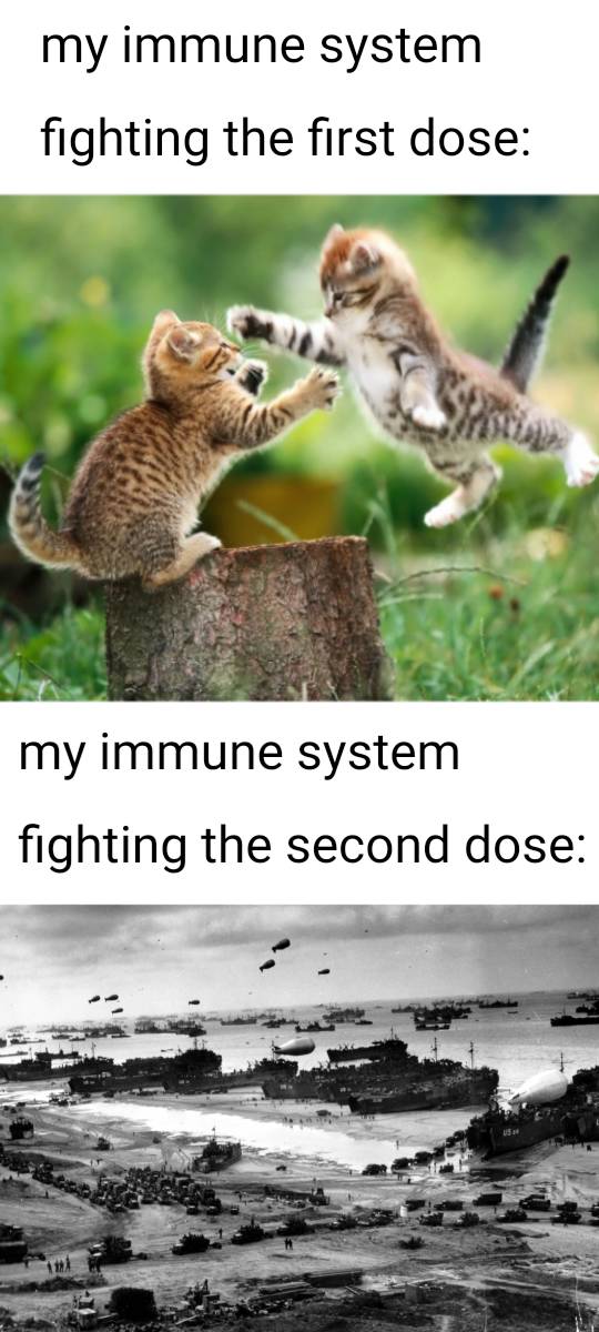 The suffering is real. | Scrolller