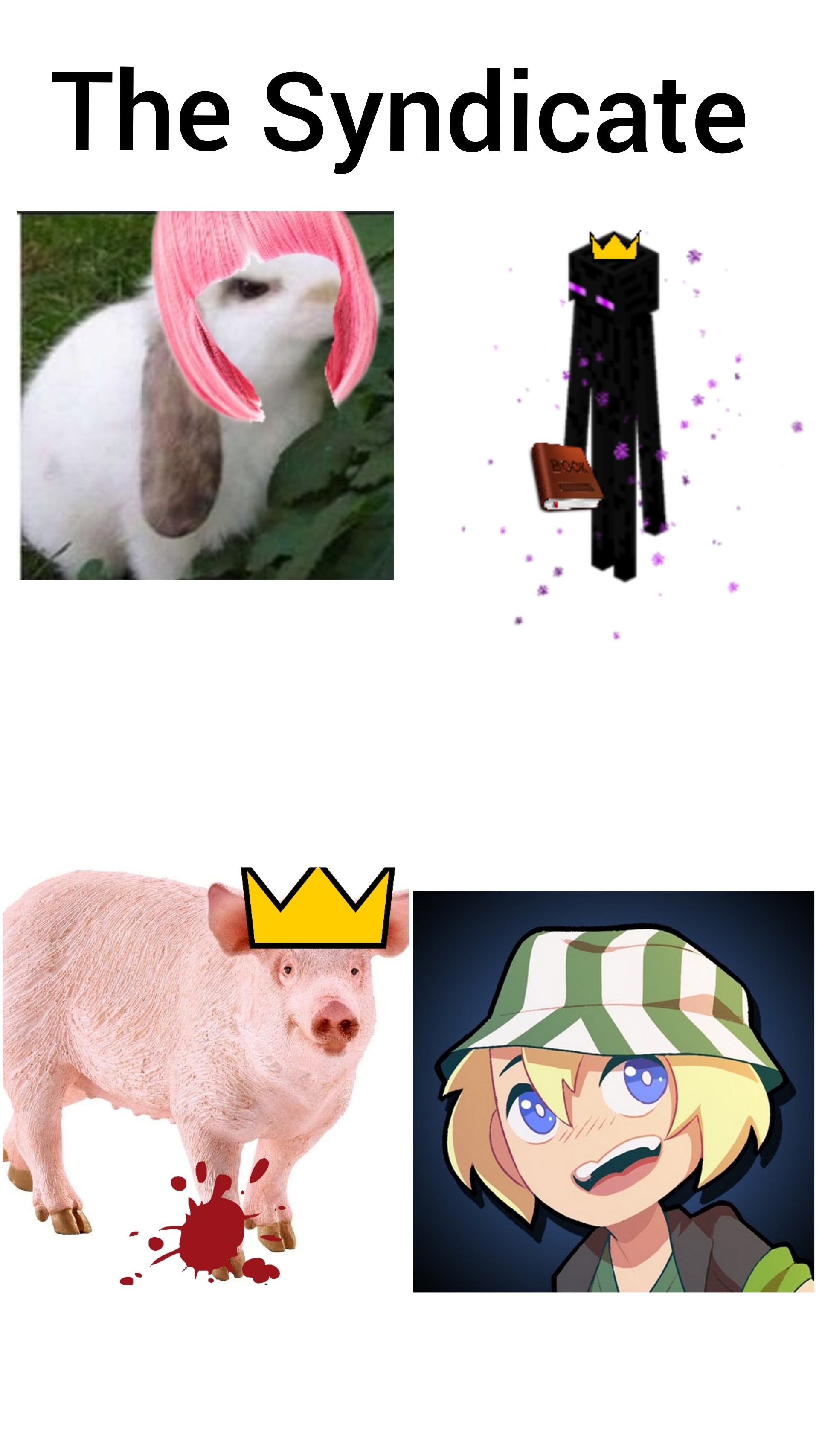 The syndicate in a nutshell | Scrolller