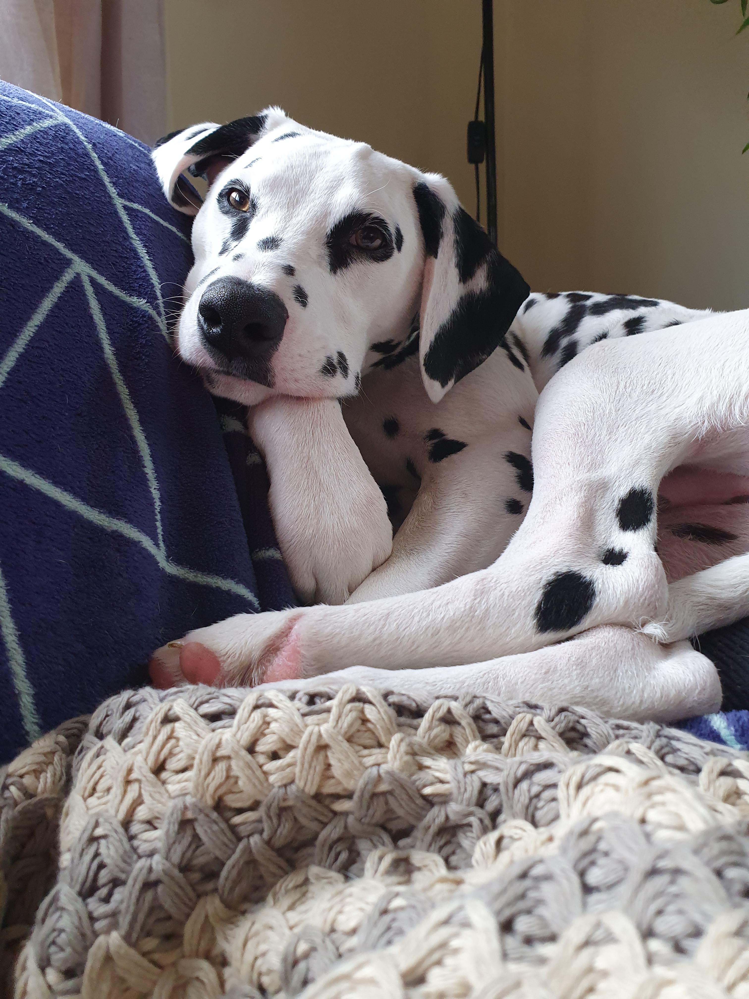 The Thinker | Scrolller