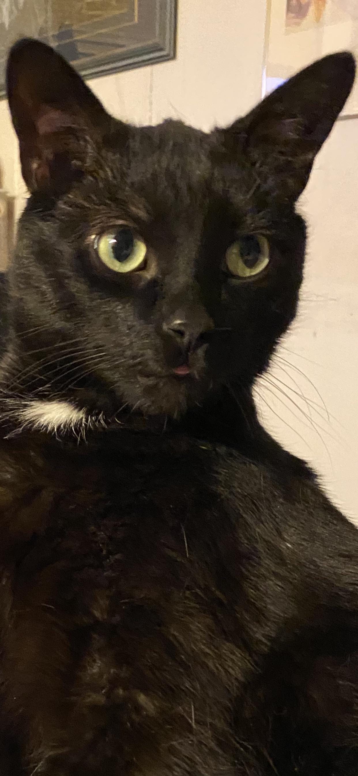 The tiniest of bleps from Thunder | Scrolller
