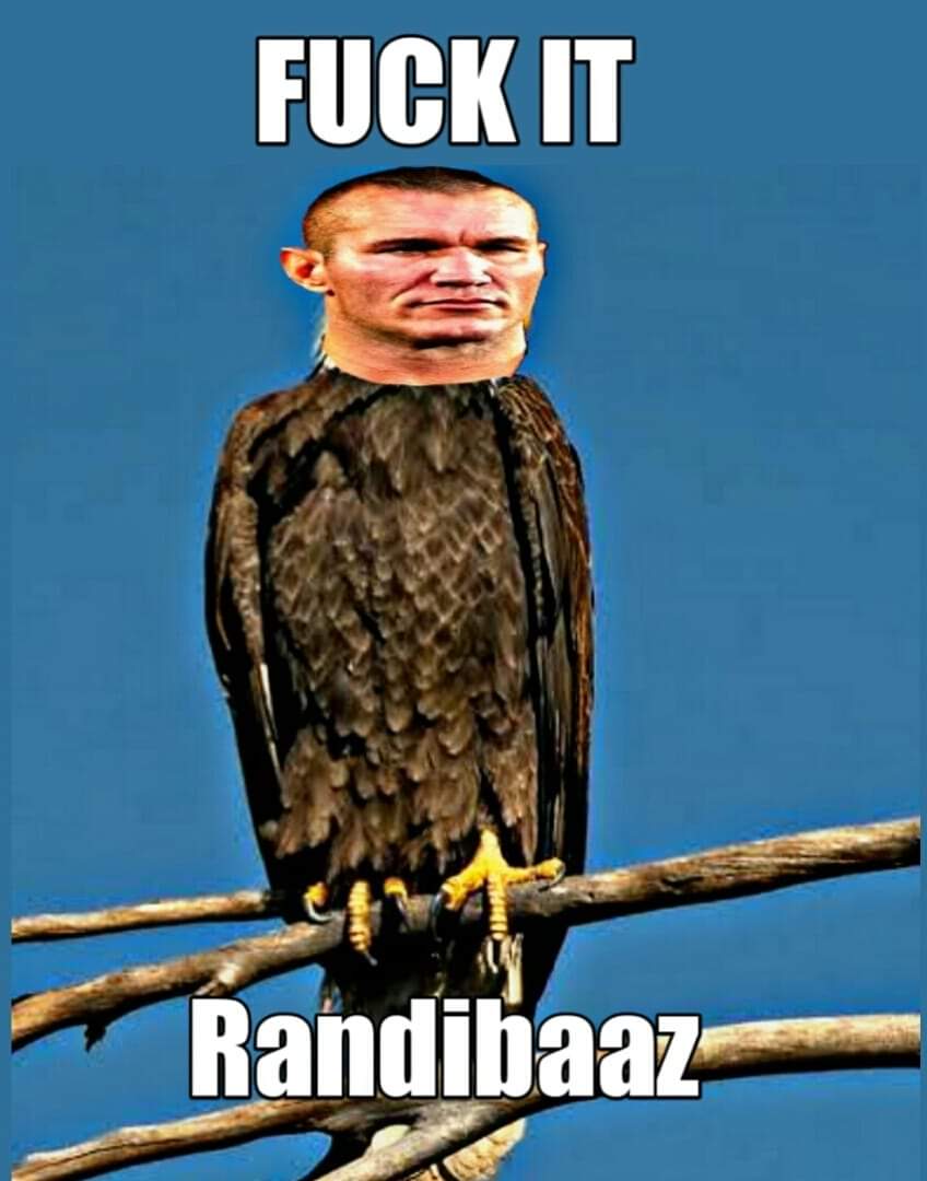 The true definition +_+ | Scrolller