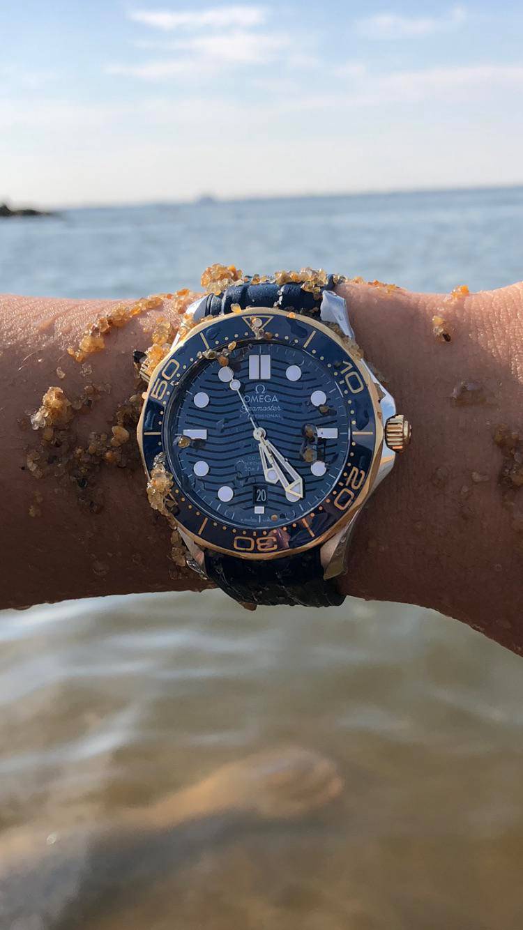 The True Masters of the Sea (300m Diver - Yellow Sedna on Blue) | Scrolller