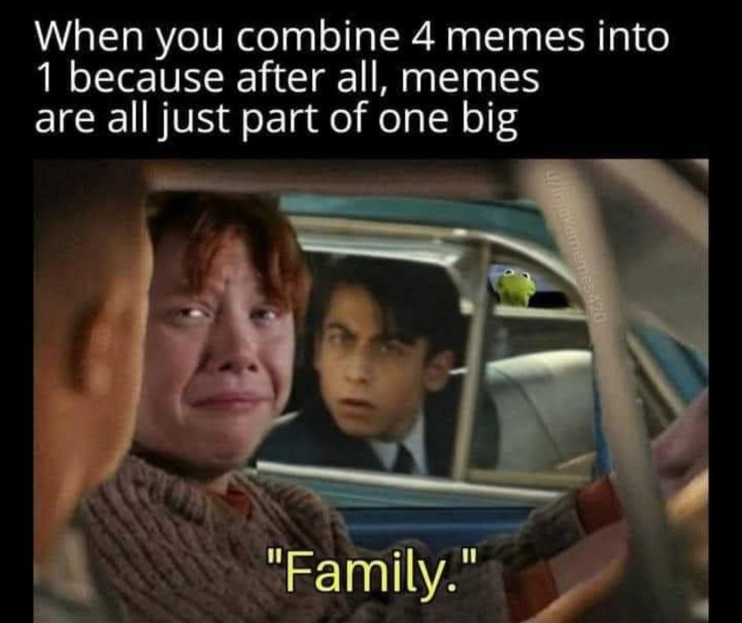 The ultimate meme | Scrolller