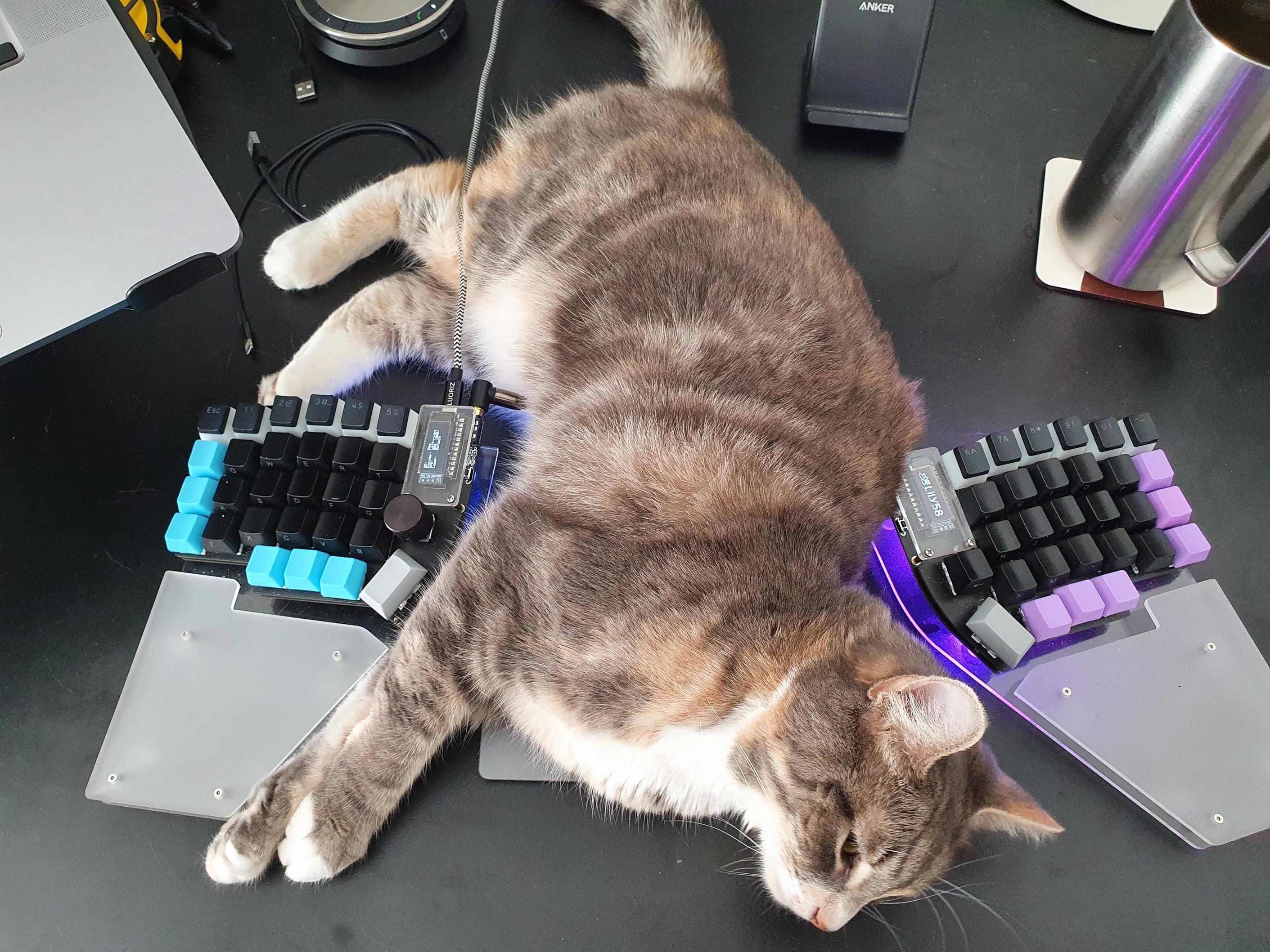 The ultimate reason to get a split keyboard | Scrolller