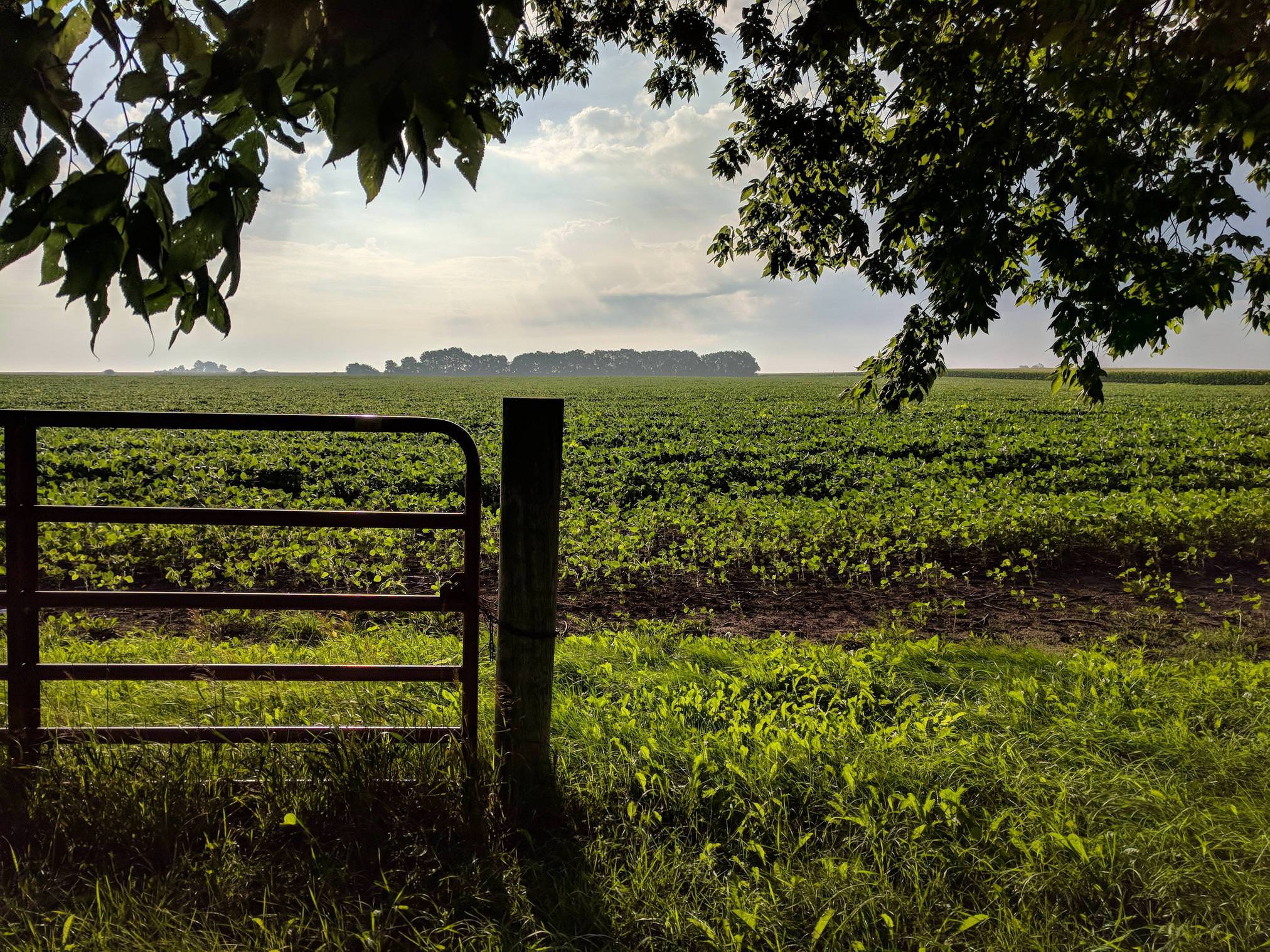 The view at our farm this morning | Scrolller