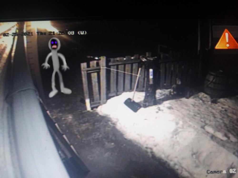 “The visitor” | Scrolller