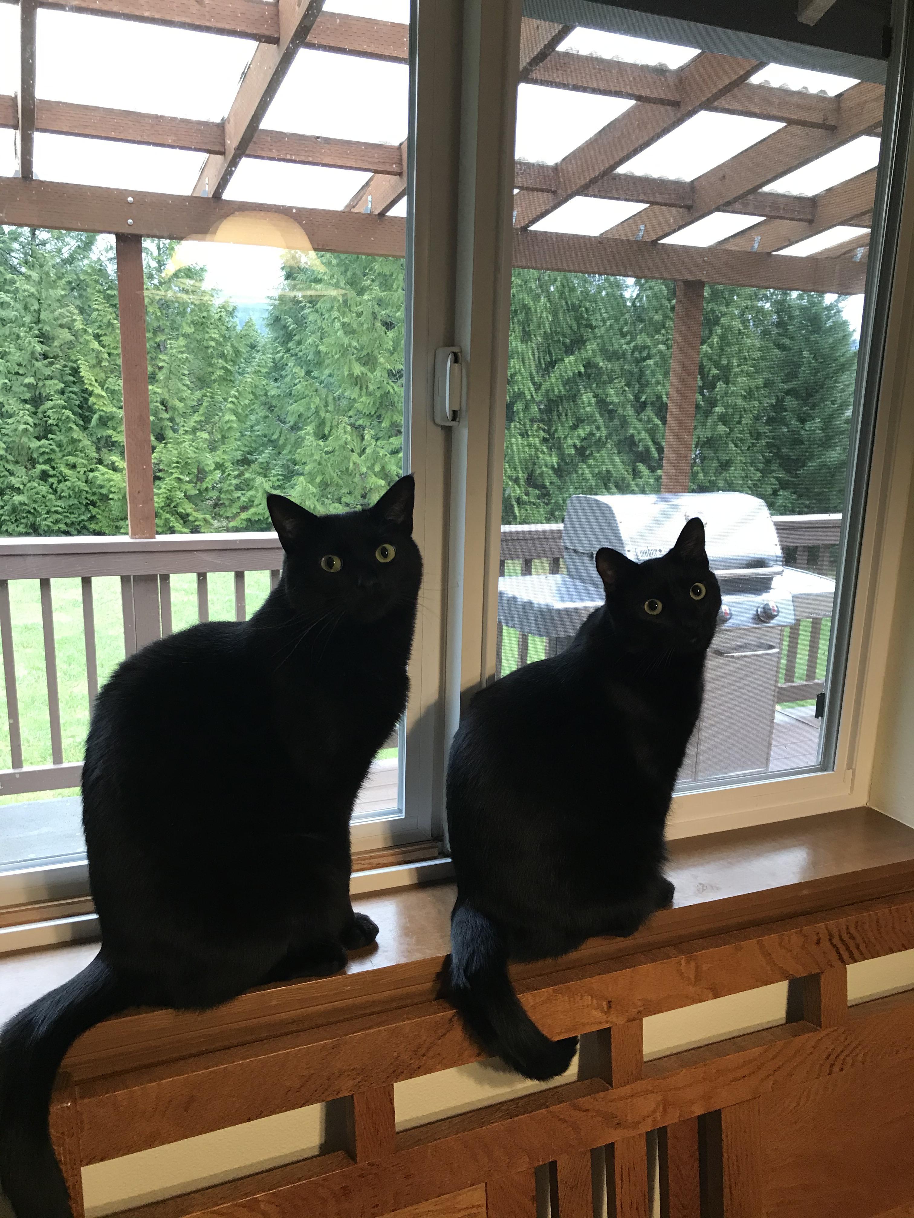 The void, it’s multiplying! | Scrolller