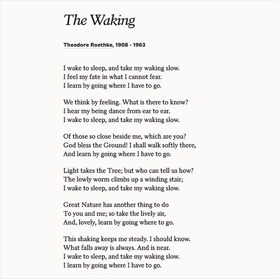 The Waking by Theodore Roethke | Scrolller