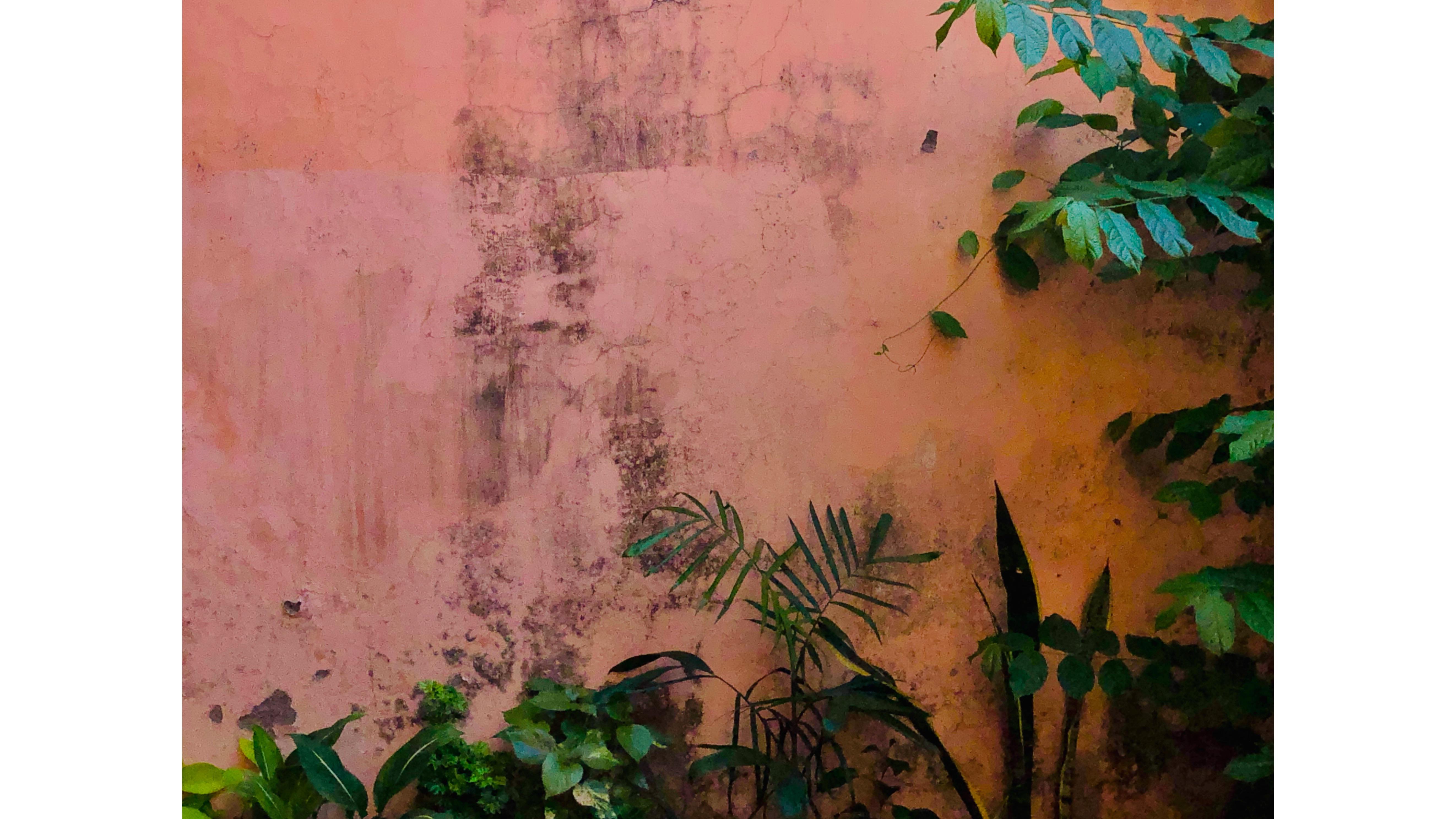 The wall | Scrolller