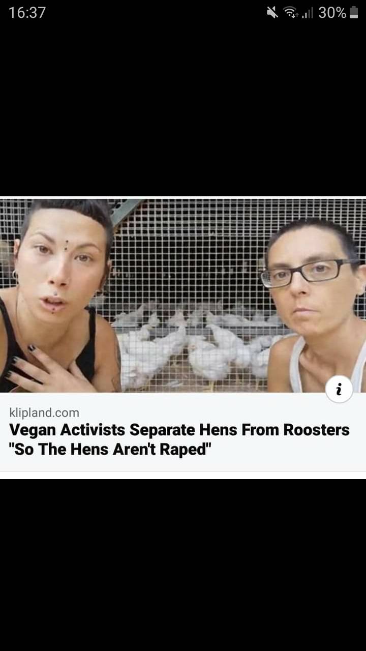 The war on cocks | Scrolller