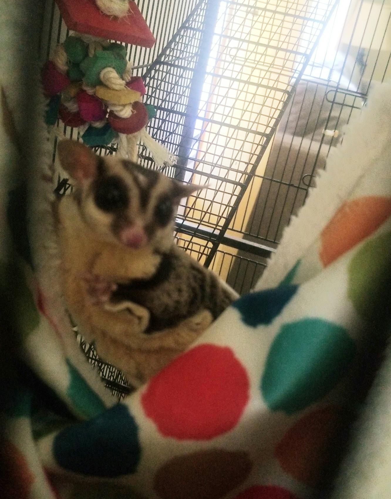 Theodore just striking a pose | Scrolller