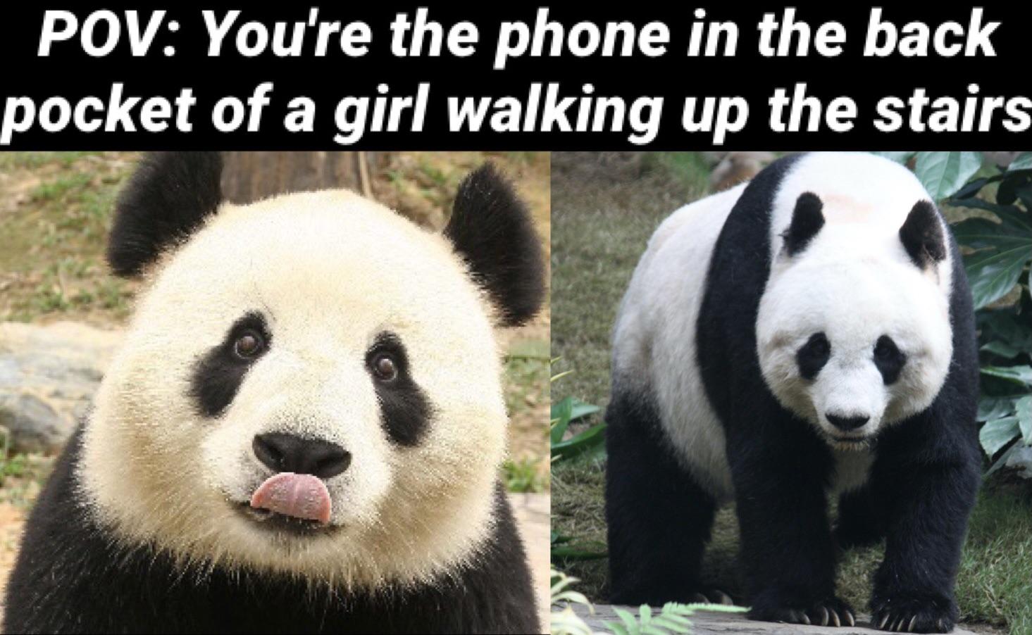 There are 2 types of men in this world: | Scrolller