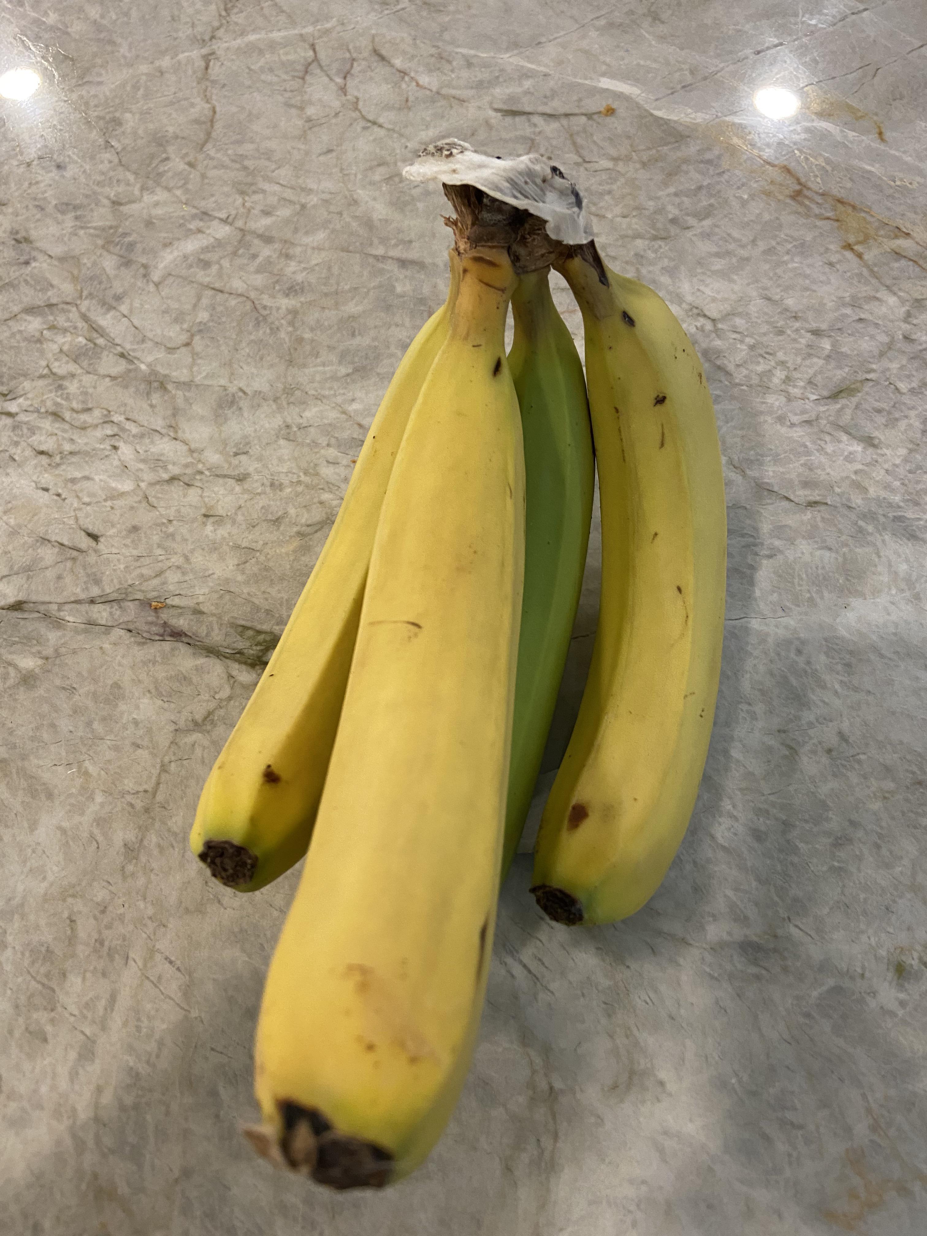 There is an imposter among us | Scrolller