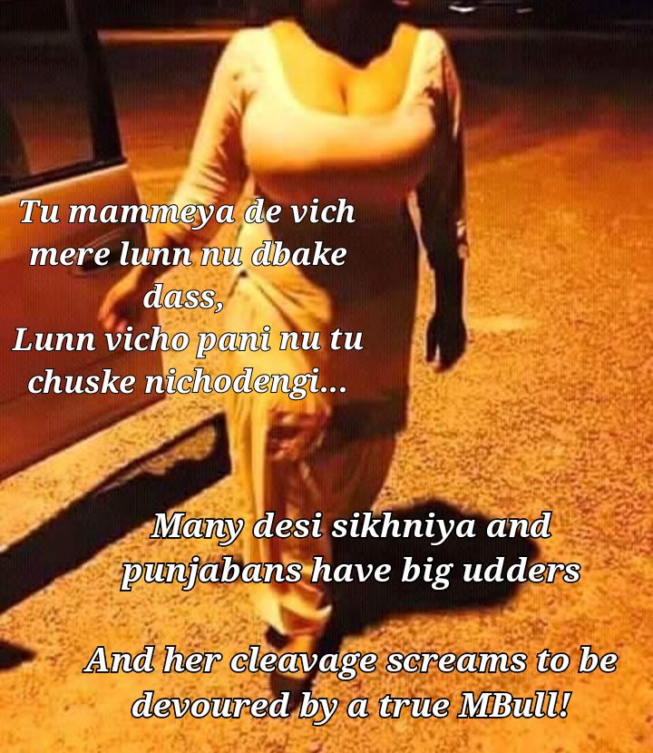 There must be something in the North | Scrolller