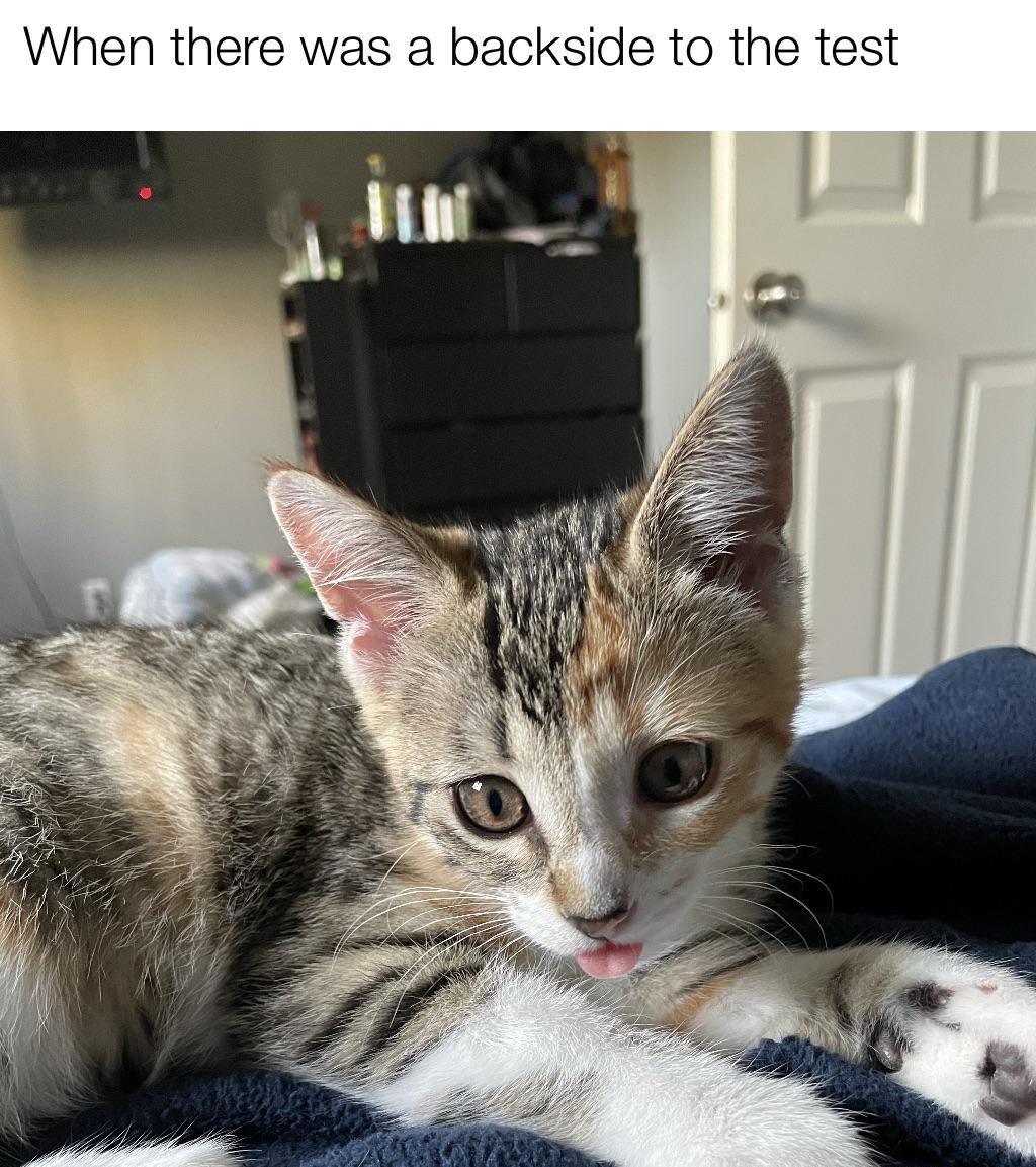 There’s alway a backside | Scrolller