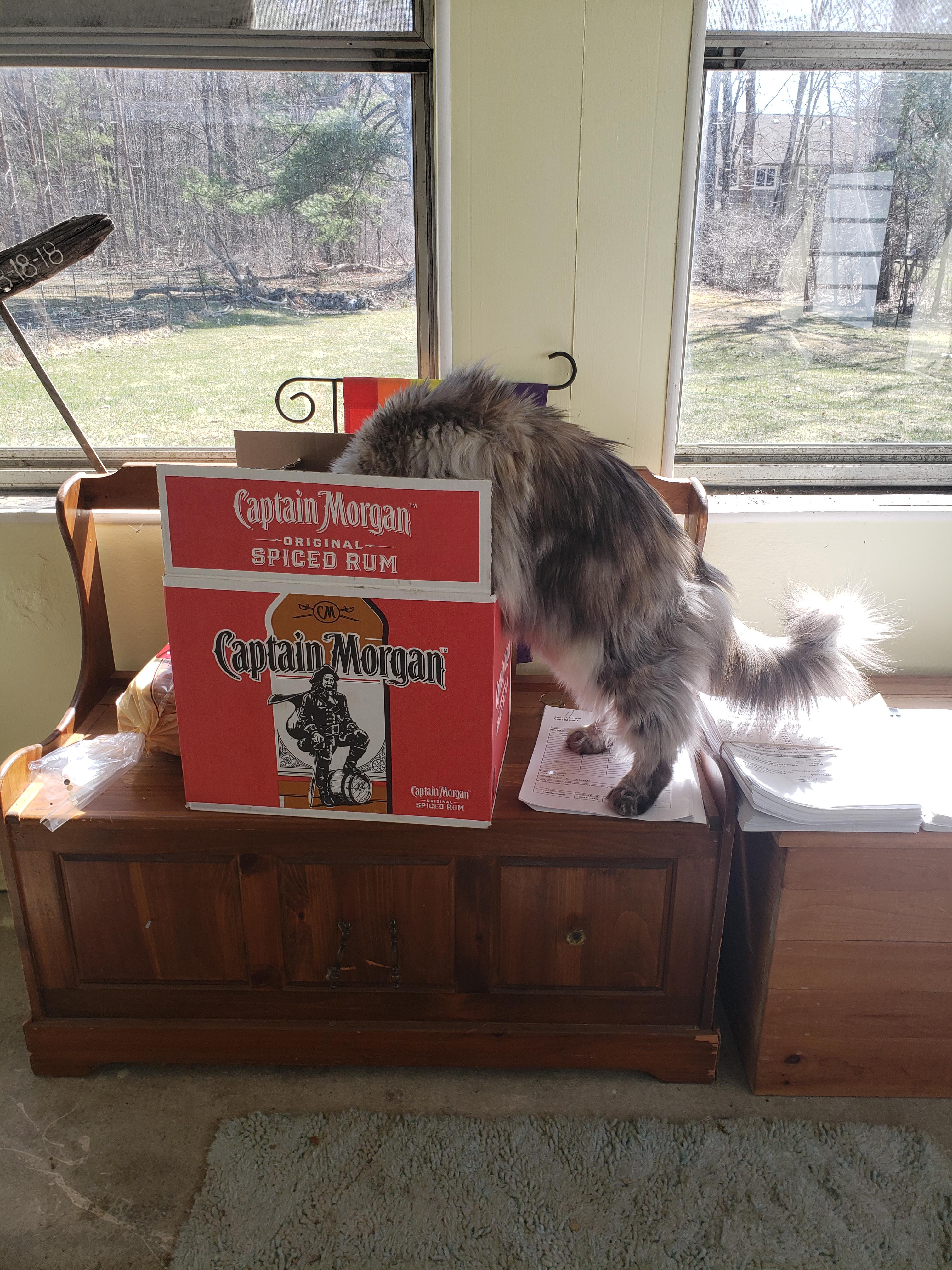 There was an attempt.. | Scrolller