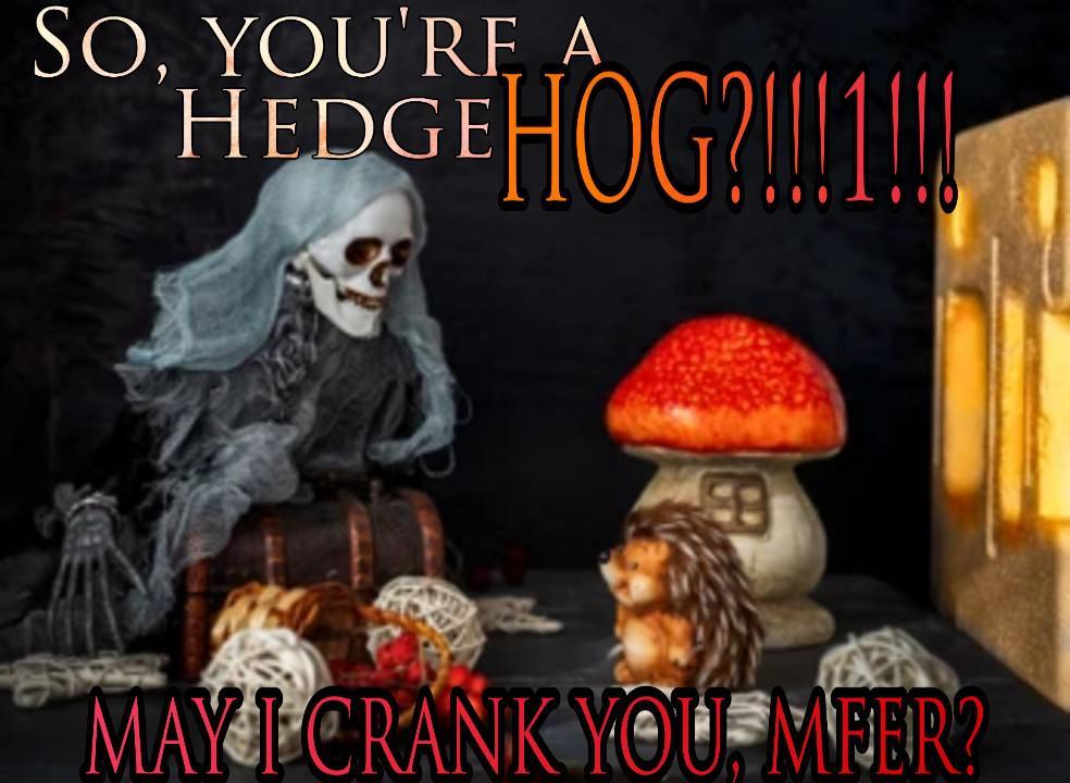 THESE ARE SOME SERIOUS BOMBASS BLESSED CREATURES, BROTHERS | Scrolller