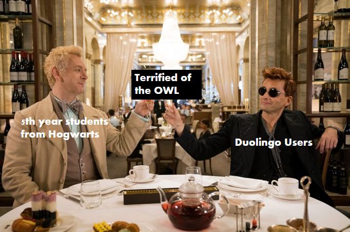 They are not so different | Scrolller