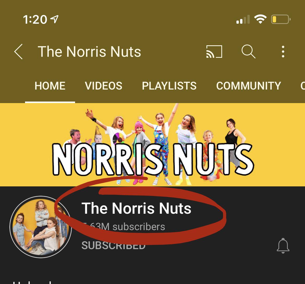 They changed there name to THE Norris Nuts | Scrolller