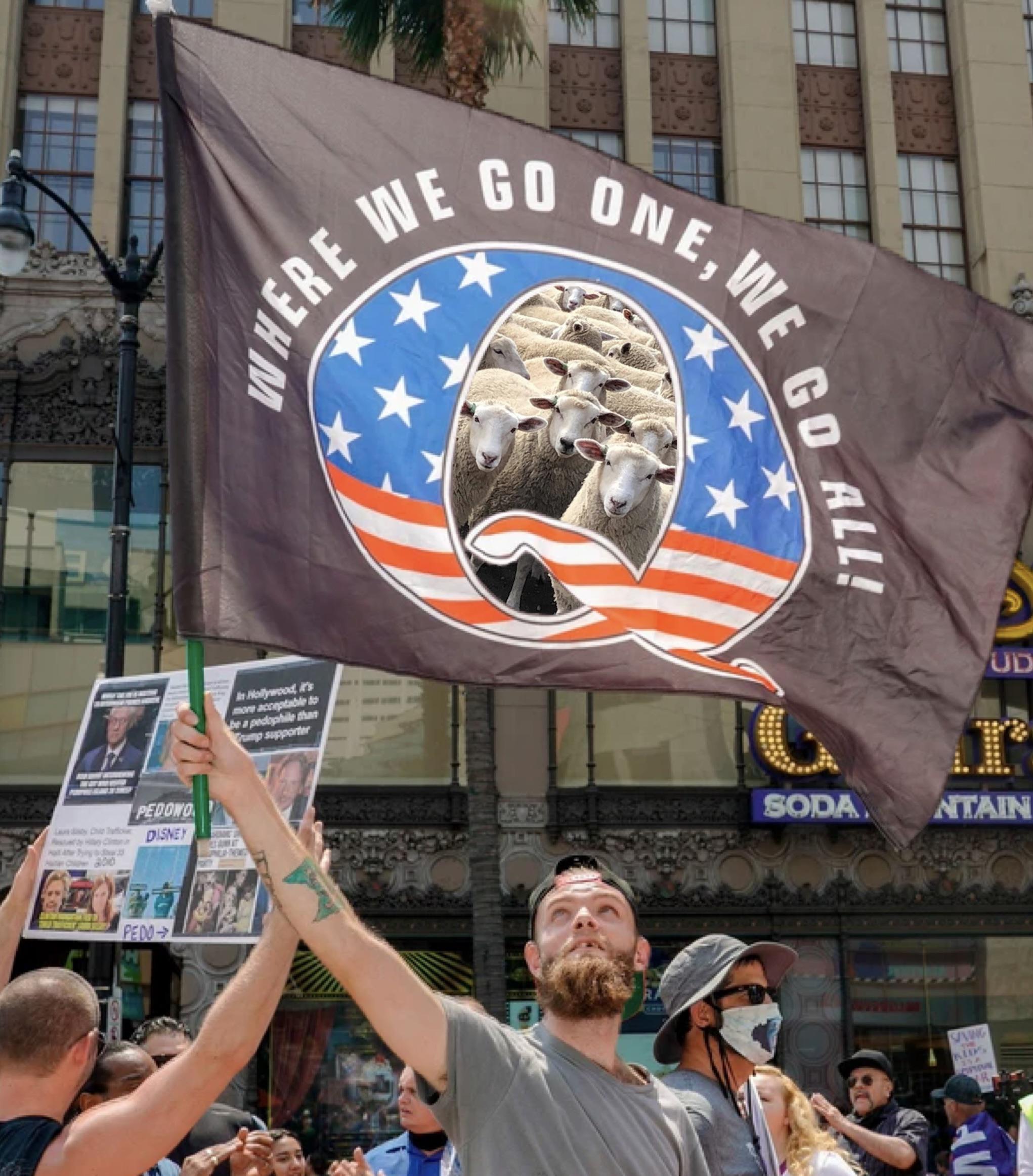 They definitely follow | Scrolller