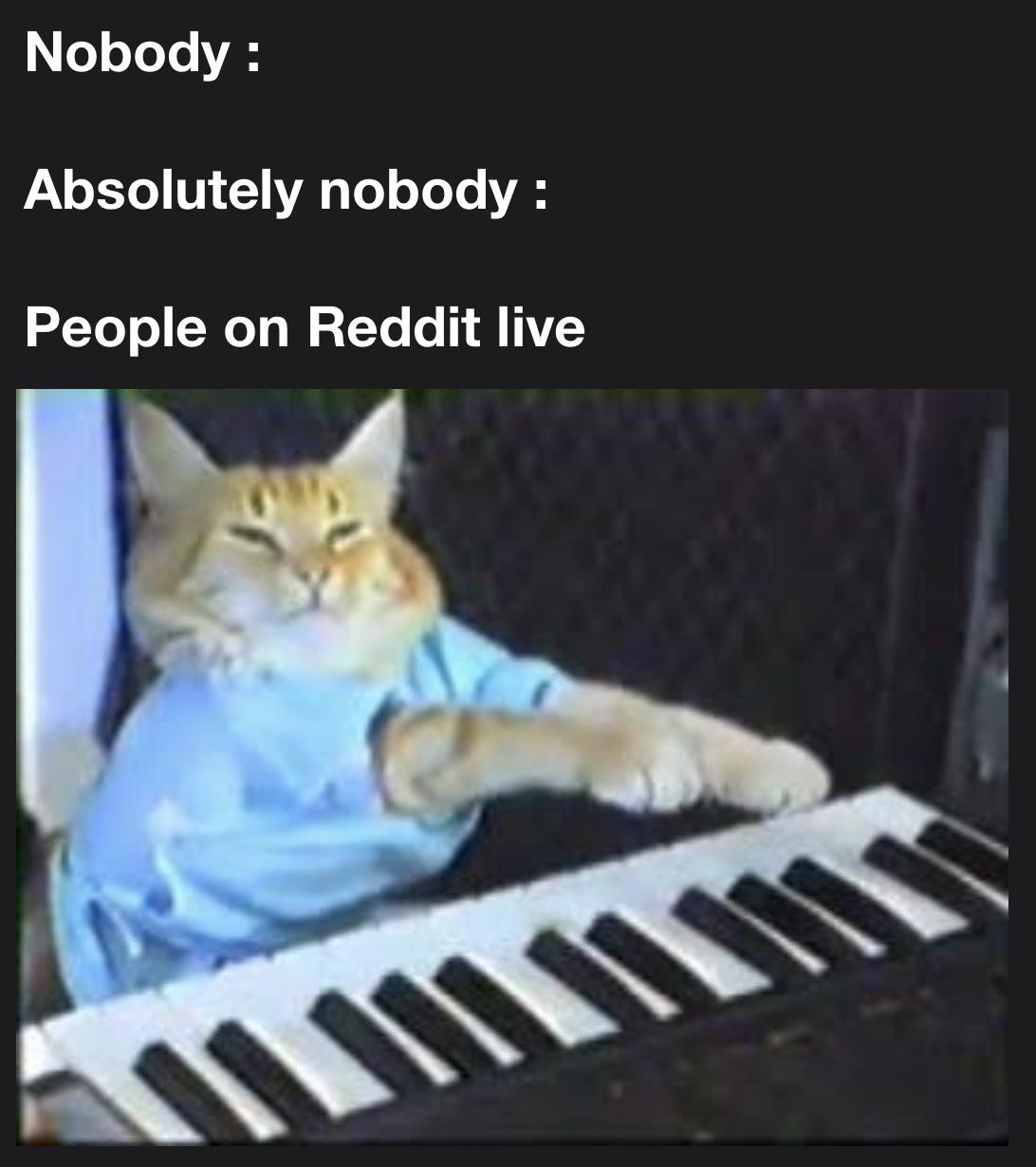 They do be vibin tho | Scrolller